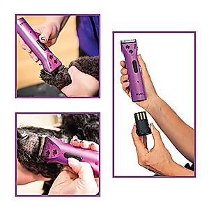 WAHL Professional Animal Purple ARCO SE Cordless Pet Clipper Kit