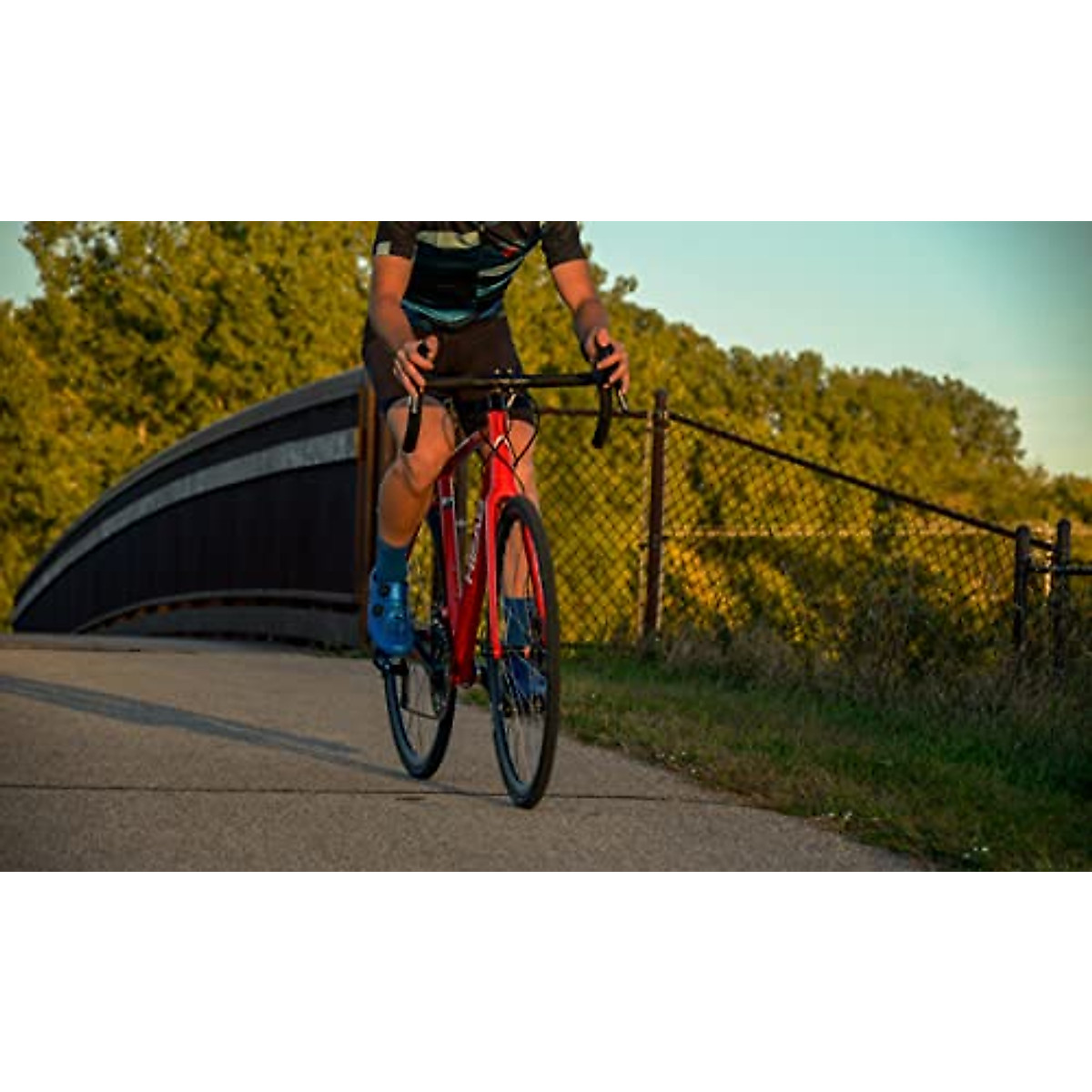 Head Pava 22 Speed Aluminum Road Bicycle with Carbon Fork in 4 Sizes