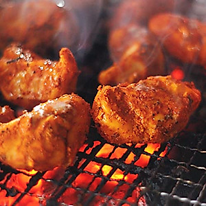 LYBOSH portable charcoal grill, 17.5" - With Handbag， multifunctional folding grill for travel, outdoor cooking and grilling, camping grill