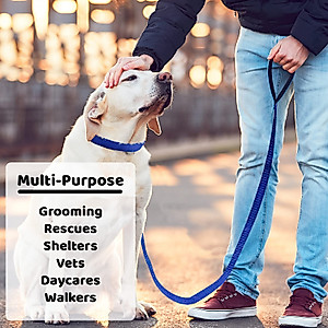 Downtown Pet Supply - 6ft Dog Kennel Slip Lead Dog Leash - Veterinarian, Dog Grooming, Daycare & Animal Rescue Dog Supplies - One Size Leads for Dogs Bulk - 1" Thick 6 Pack