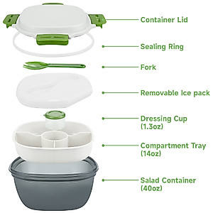 BOKZEN Freezer Bento Box, Salad Lunch Containers with Built-In Ice Pack & Fork for Food Freshness, 1.2L 4-Compartment Leakproof Chill Bento Lunch Box for Adults