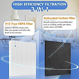 116130 Filter H Replacement for Winix 5500-2 and AM80 Air Puri-fier, Two Year Combo Include 2 Pack H13 True HEPA Filter and 2 Pack Activated Carbon Odor Filter