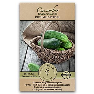 Gaea's Blessing Seeds - Spacemaster Cucumber Seeds (2.0g) Non-GMO Seeds with Easy to Follow Planting Instructions - Heirloom 90% Germination Rate