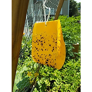 VivaTrap VT-103 Cucumber Beetle Trap & Lure (2 Pack)