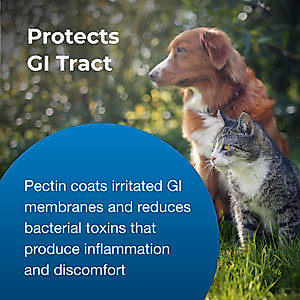 Pet-Ag Pet Pectillin Anti-Diarrheal - 4 oz, Pack of 3 - Helps Relieve Diarrhea or Loose Stool in Dogs and Cats - Replaces Lost Electrolytes - Easy to Administer