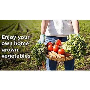 33 Variety Seed Bank Survival Gear 30,000 Premium Non-GMO Open Pollinated Heirloom Seeds Made in USA