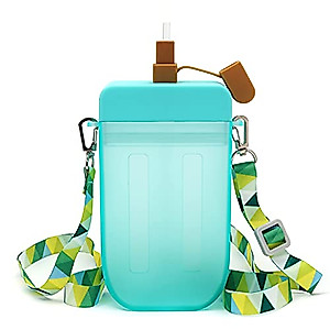 Popsicle Water Bottle with Strap, Dish Washer Safe Clear Juice Drinking Cup, BPA Free Frosted Plastic, Leakproof Creative Design, Suitable for Adults and Kids, 300ML (Blue), QB/T4049-2010
