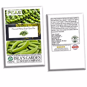 Mammoth Melting Sugar Snow Pea Seeds for Planting, 50+ Heirloom Seeds Per Packet, (Isla's Garden Seeds), Non GMO Seeds, Botanical Name: Pisum sativum, Great Home Garden Gift