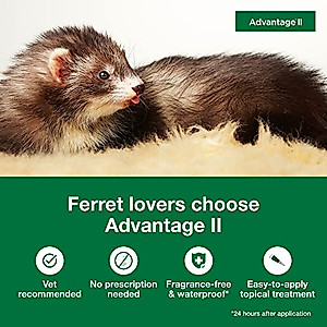 Advantage II Ferret Vet-Recommended Flea Treatment & Prevention | Ferret 1+ lbs. | 2-Month Supply