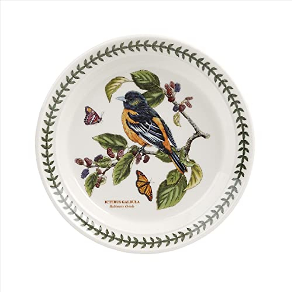 Portmeirion Botanic Garden Birds Collection Salad Plates | Set of 6 Plates 8.5 Inch with Assorted Bird Motifs | Made of Earthenware | Dishwasher and Microwave Safe | Made in England