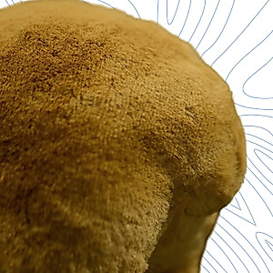 FRANKIEZHOU Realistic Capybara Plush Toy 12”,Lifelike Rodent Capybara Stuffed Animals,Pillow Plush,Soft Wild Animals Crawling Capybara Stuffed Toys,Plushie Toys,Gifts for Kids,Baby Gift, Cry Babies