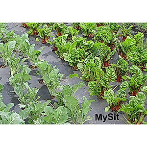 IME Garden Staples U Shaped Ground Anchors Stakes Pegs Pins Spikes for Securing Lawn Farm Sod Barrier Landscape Grass Fabric Netting, More Applications 15CM