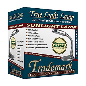 Natural Therapy Sunlight Desk Lamp, Great For Reading and Crafting, Adjustable Gooseneck, Home and Office Lamp by Lavish Home, 7"D x 9"W x 22"H , Silver