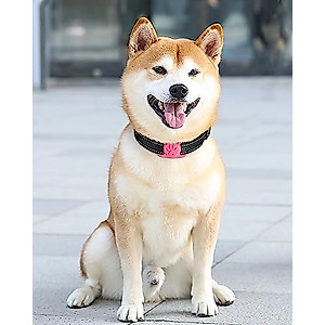 Joytale 2 Pack Airtag Dog Collar Holder, Elastic Silicone Air Tag Holder for Dogs and Cats, Light and Durable Apple Airtag Holder with Slide-On Loop(Hot Pink/Orange)