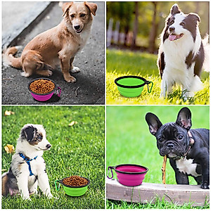 Dog Bowl Pet Collapsible Bowls, 2 Pack Collapsible Dog Water Bowls for Cats Dogs, Portable Pet Feeding Watering Dish for Walking Parking Traveling with 2 Carabiners (Small, Green+Purple)