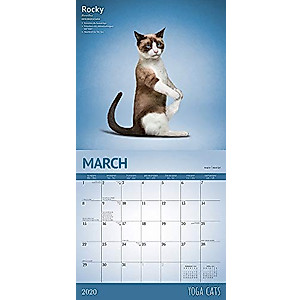Yoga Cats 2020 Calendar