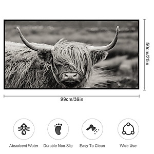 TsyTma Retro Highland Cattle Kitchen Rug Western Farm Kitchen Floor Mats Washable Non-Slip Rug Runner Laundry Room Home Decor 39"x20"