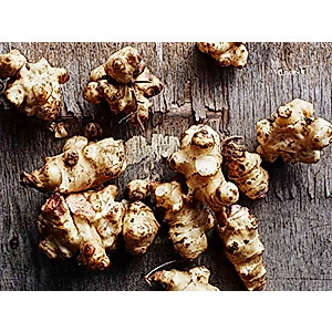 Jerusalem Artichoke Tubers Planting, 0.5 LB Ornaments Garden Perennials Simple to Grow Pots Gift
