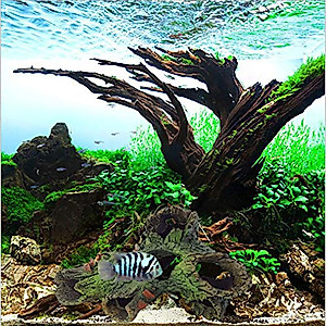 Hamiledyi 4Pcs Decaying Trunk Driftwood Aquarium Ornament,Small Resin Wood Trunk Aquarium Decoration Log,Tank Decoration for up to 20 Gallon Tank Betta & Fish Accessories Aquarium Cichlid Hideout Cave