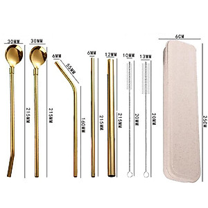 Hoshen 7-Piece Purple Stainless Steel Straw Spoon Set, 8.5 Inch Reusable Straw, With Carrying Case (3 Straws/2 Straws Spoon/2 Brushes)