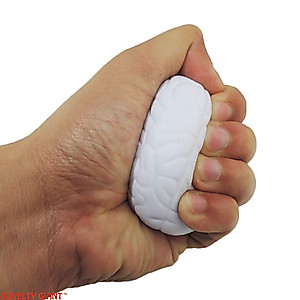 Stress Relief Squeezable Foam Brain & Heart