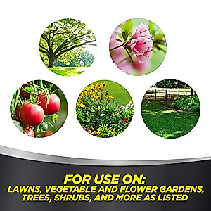 Central Garden Excel 100522991 Ready to Spray Insect Killer, 32 Ounce, None