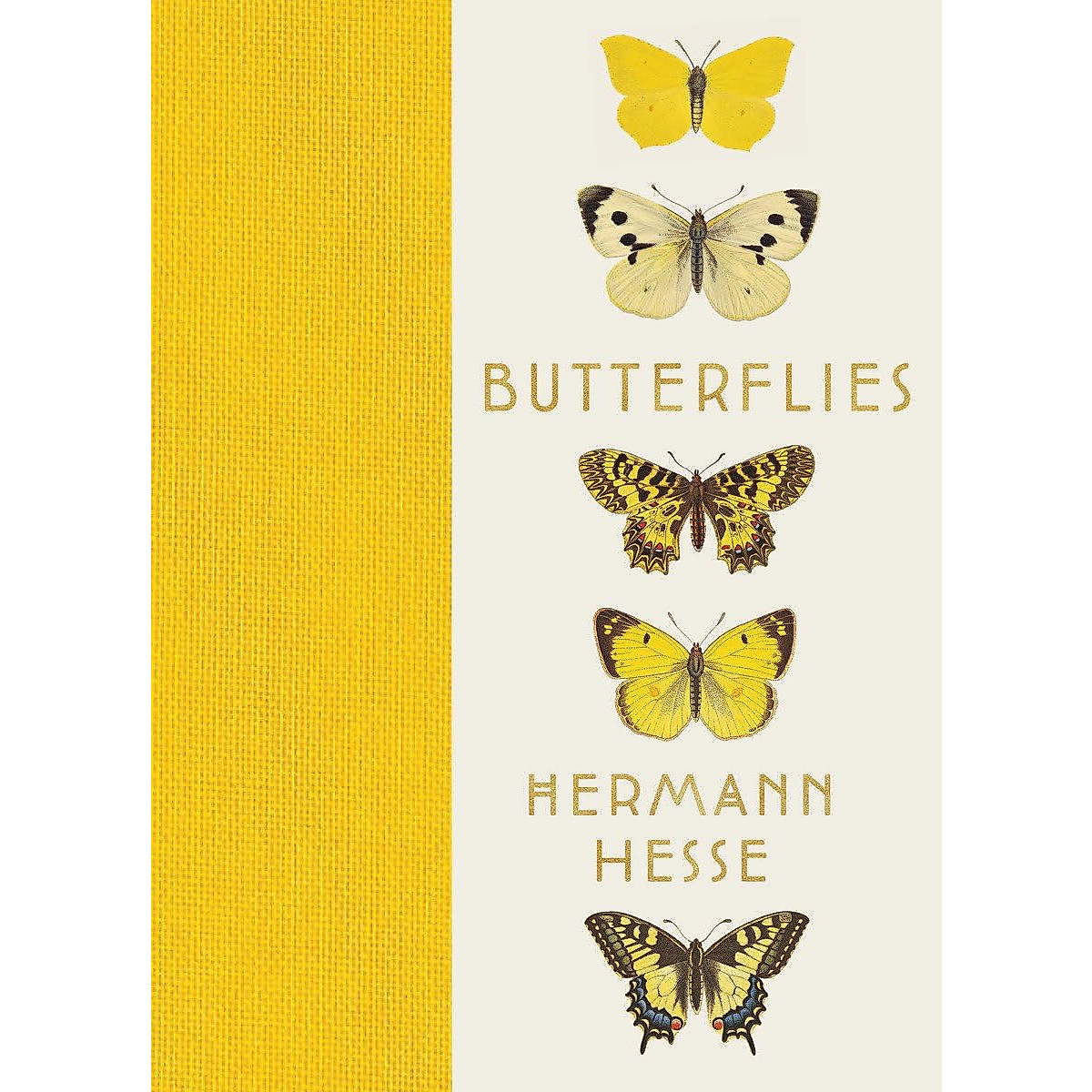 Butterflies: Reflections, Tales, and Verse
