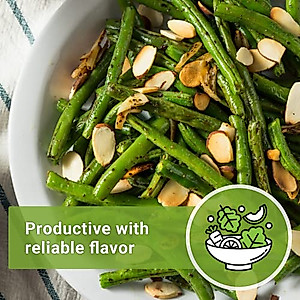 Sow Right Seeds - Contender Bush Bean Seed for Planting - Large & Delicious Green Beans to Grow - Easy to Grow, Large Pods - Non-GMO Heirloom Packet with Instructions to Plant a Home Vegetable Garden