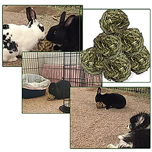 MUYG 6 Pcs Bunny Timothy Grass Ball Natural Chew Toy Woven Chewing Toys Rabbit Molar Small Animals Teeth Grinding Suitable for Hamster Totoro Gerbils Guinea Pig Squirrel