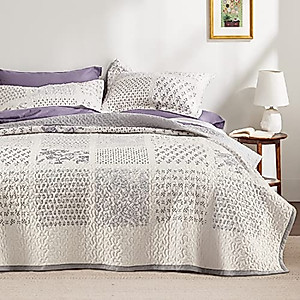 Bedsure Patchwork Quilt Set Queen - Beige and Grey Quilt Bedding Set, 3 Pieces Lightweight Bedspread, Vintage Floral Printed Microfiber Coverlet with 2 Pillow Shams for All Seasons (90"x96")