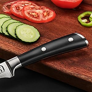KnifeSaga Boning Knife 6 inch for kitchen, Japanese Razor Sharp Fillet Knife High Carbon Stainless Steel, Professional Meat Cutting Knife with Ergonomic Handle, Time-saving Deboning Knife