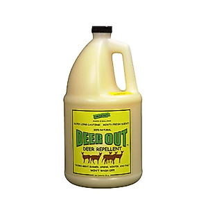 Deer Repellent :Deer Out 1 Gallon Concentrate Makes 10 Gallons