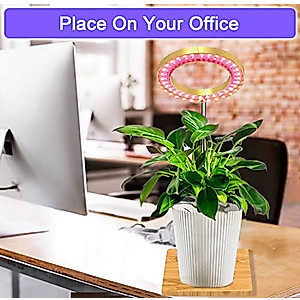 YVMOOEC Grow Light for Indoor Plants LED Growing Light for Indoor Plants Full Spectrum with Base,Height Adjustable 10-60 Inch, Idea for Plant Shelf,Plant Pots,Desk Large Plant Light