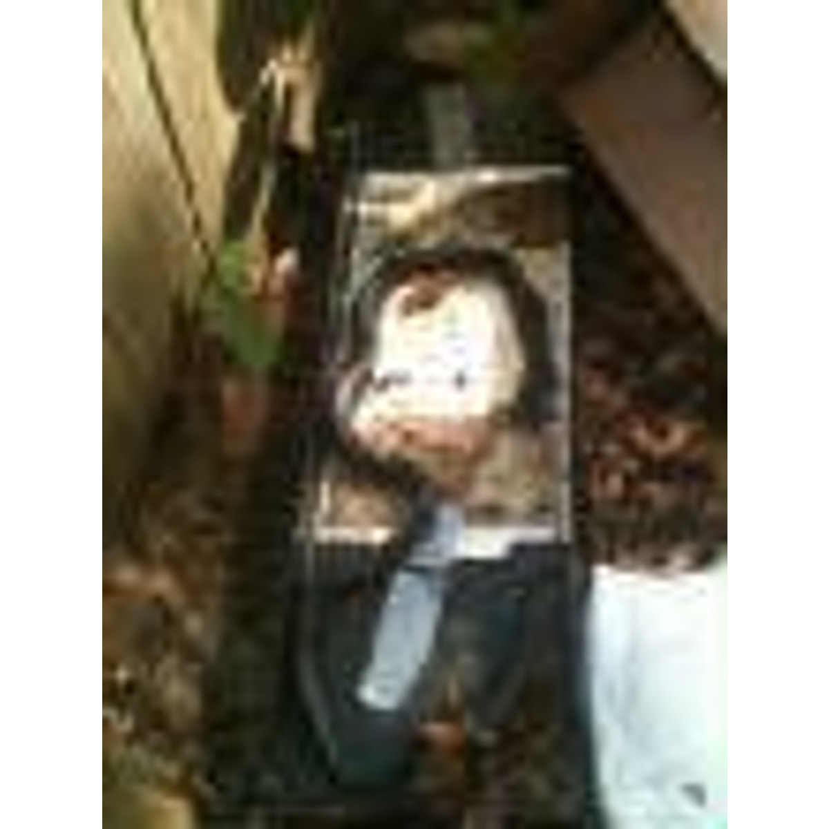 Cahaba Snake Trap Lift-Top Size 32"x10"x3"W/ 3 Large Catch Inserts