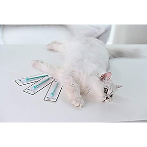 Soft Cat Toothbrush with 360-degree Head | Safe, Effective and Deep Pet Teeth Cleaning | Brush Away Bad Breath | Food Grade Silicone (2 Pack, Mint Green, Rose Pink)