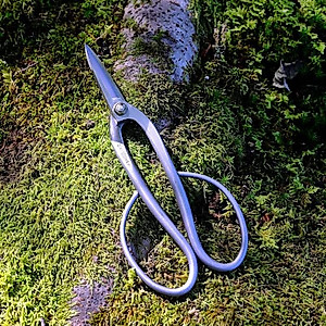 KAKURI Professional Bonsai Scissors Long Handle, 7.8" (200 mm) Japanese Stainless Steel, Silver, Made in JAPAN
