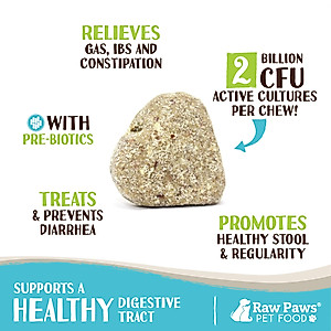 Raw Paws Natural Dog Probiotic Supplement with Prebiotics, 10-oz/100-ct - USA Made Daily Probiotic for Dogs Soft Chew - Treat Diarrhea in Dogs, Yeast, Dog Breath & Gas with Our Canine Probiotic Chews