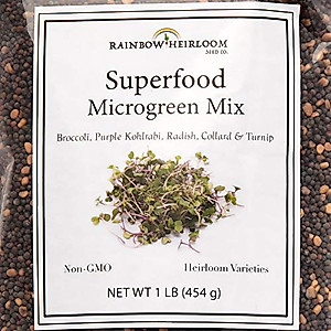 Superfood Microgreen Seeds Mix | for Microgreens Growing Trays | 1 LB | Heirloom Non GMO Purple Kohlrabi, Collard, Radish, Turnip & Broccoli Sprouts Seeds | Rainbow Heirloom Seed Co.