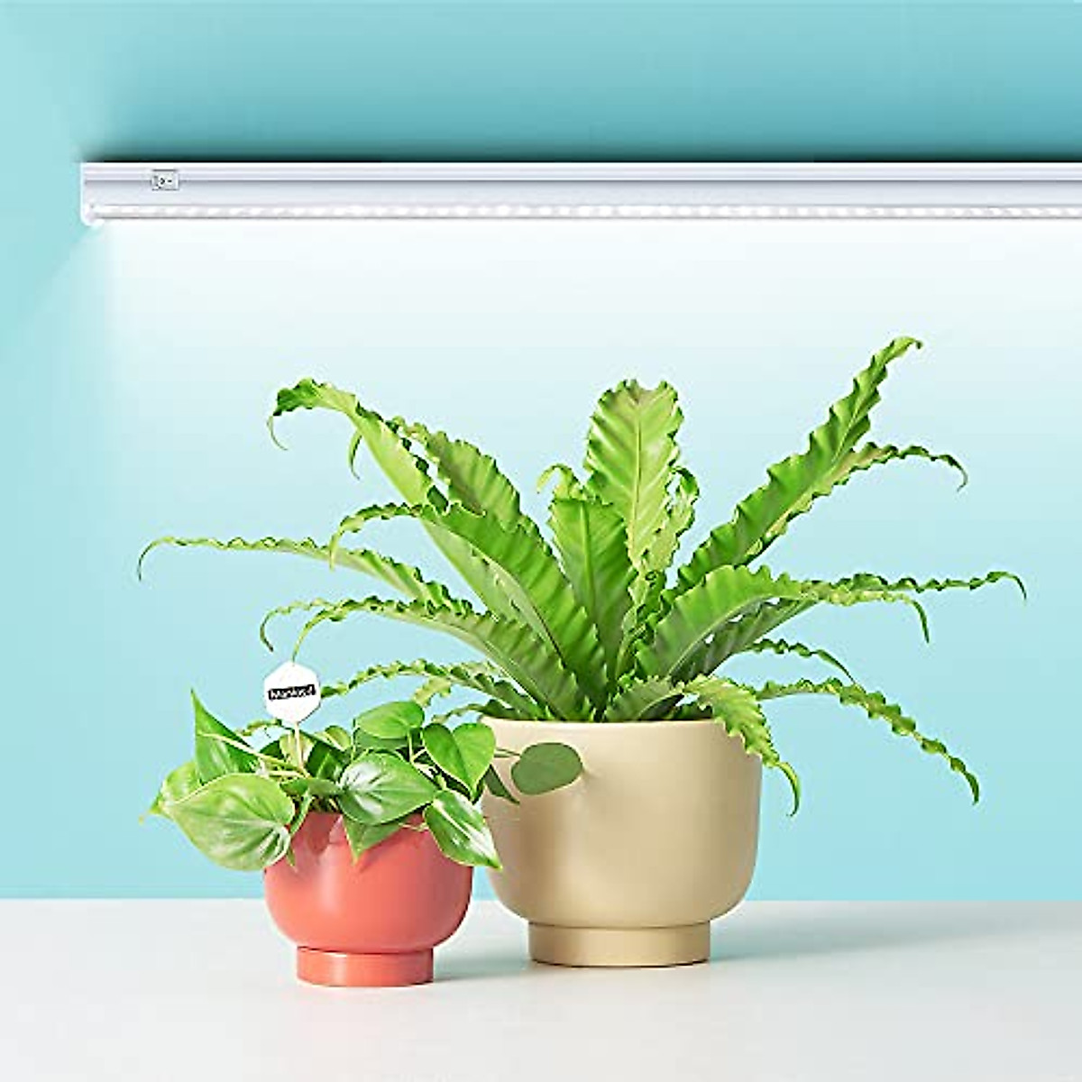 Monios-L LED Grow Light Strips,Full Spectrum Sunlight White, 3FT T5 90W(6X15W,500W Equivalent) for Indoor Plants,Grow Bars with Individual Switch for Herbs/Hydroponics/Succulents,6-Pack