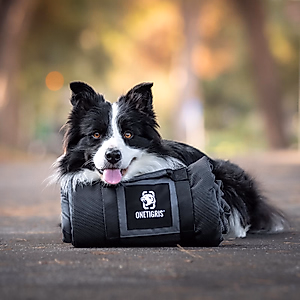 OneTigris Travel Dog Bed - Portable Waterproof Anti-Slip Dog Camping Bed, 3.6ft by 2.2ft Outdoor Indoor Mat Cushioned Plush Warm Puppy Mattresses