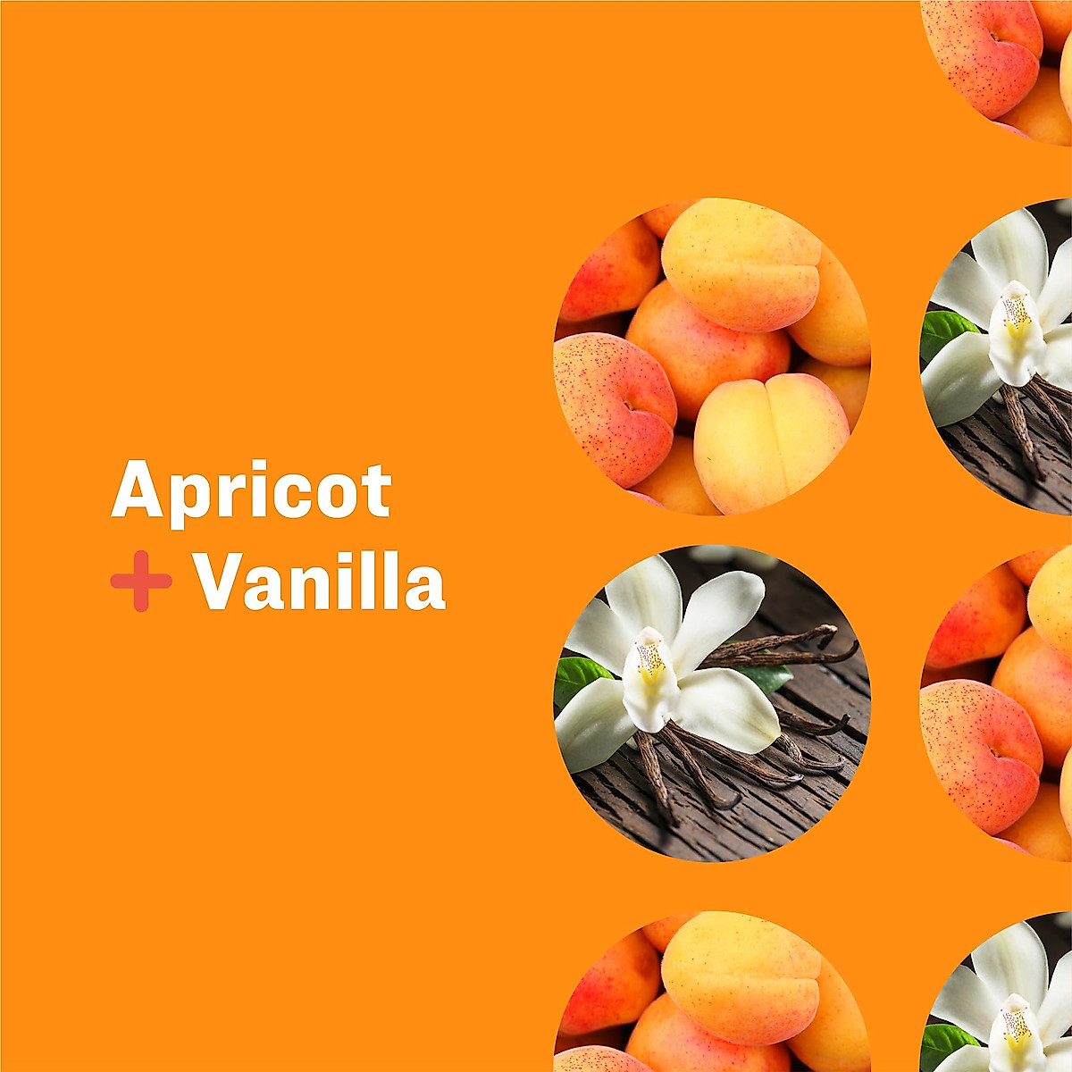 Everyone Liquid Hand Soap, 12.75 Ounce (Pack of 3), Apricot and Vanilla, Plant-Based Cleanser with Pure Essential Oils