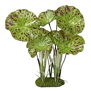 Blue Ribbon PET Products 030157018597 Color Burst Florals Lotus Plant