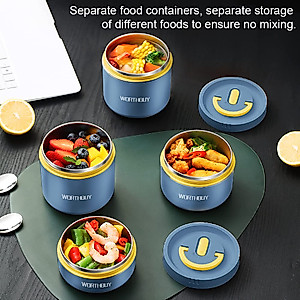 TiLeMiun Portable Insulated Lunch Containers Set, Microwave Safe Thermal Lunch Box For Kids & Aldults, 18/8 Stainless Steel Leakproof Food Container With Bag (Blue 2Pcs 34oz)