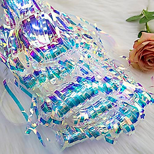 Sharonlily 2 pcs Gorgeous Iridescent Fringe Curtains, 3.2X 8.2 Feet, Transparent Holographic Tinsel Backdrop Streamers, Sturdy Metallic Foil Door Curtain for Birthday Bachelorette Party Decorations