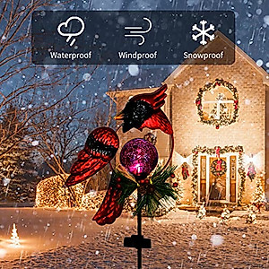 Viveta Pathway Lights Solar Powered, Cardinal Decor Figurine Solar Light, Cardinal Christmas Decorations Solar Garden Stake for Outdoor Yard Lawn Walkway Driveway