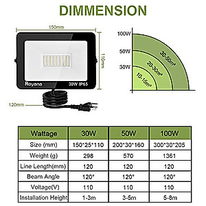 Royana 30W LED Flood Light Outdoor with Plug, IP65 Waterproof LED Work Lights, 6000K 3000LM Super Bright Security Light, Portable Daylight White Floodlight Spotlight for Yard Garden Court Lawn