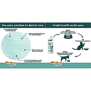Wellnergy Pets Dental Care Combo for Dogs & Cats - Dental Water Additive 16 fl oz & Dental Wipes 100 Pads - Improves Oral Hygiene, No Brush Formula