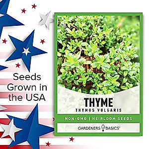 Thyme Seeds for Planting is A Heirloom, Non-GMO Herb Variety- Thymus Vulgaris Herb Seeds Great for Indoor and Outdoor Gardening by Gardeners Basics