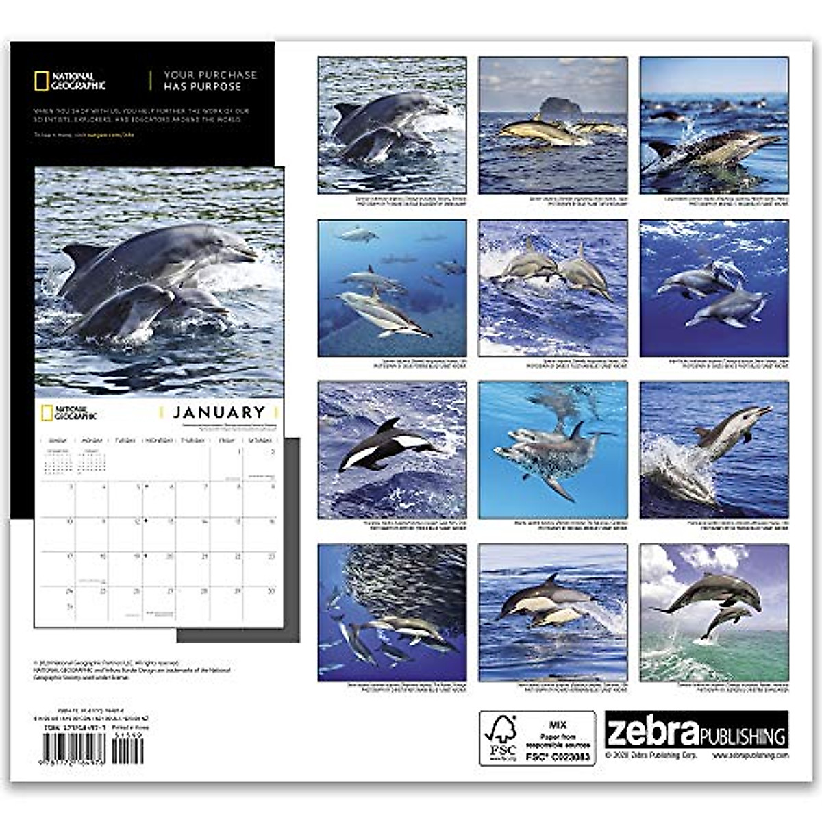 National Geographic Dolphins 2021 Wall Calendar