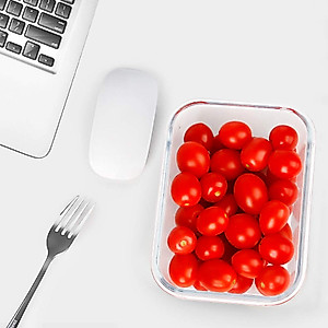 DAS TRUST 10 Pack Glass Meal Prep Containers Microwave Safe Meal Prep Bowls Food Storage Containers Glass Food Prep Containers with Lids Lunch Containers for Adults Meal Prep Lunch Box Bento Boxes